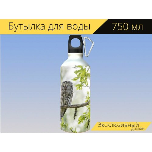 Бутылка фляга для воды "Уральская сова, птица, дикая природа" 750 мл. с карабином и принтом