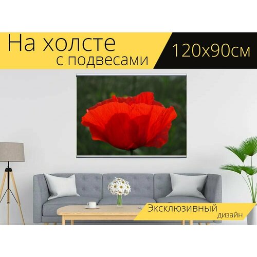 Картина на холсте "Кукурузный мак, цветок мака, мак" с подвесами 120х90 см. для интерьера