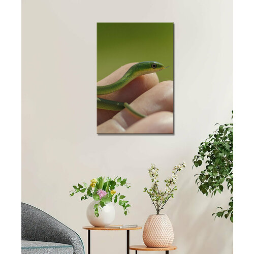 Картина - змея, маленькая змея, зелёная змея, змея на ладони (25) 50х70