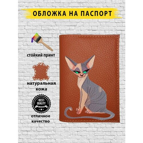 Обложка для паспорта  CATSFINKS.ORANGE, оранжевый