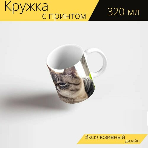 Кружка с рисунком, принтом "Кошка, кот, коты" 320 мл.