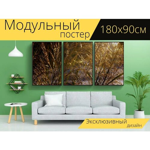Модульный постер "Травы просо, трава, завод" 180 x 90 см. для интерьера