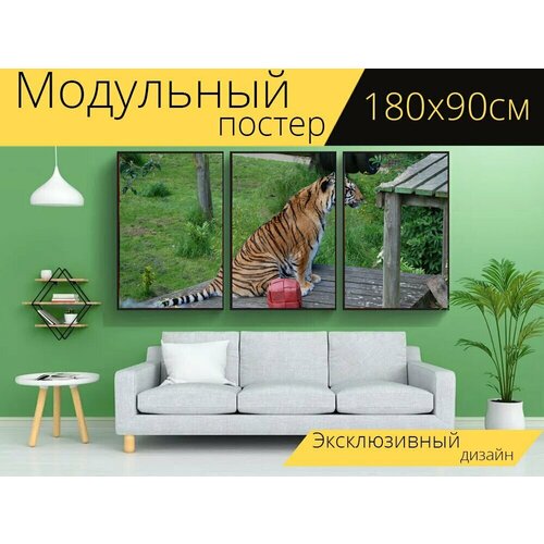 Модульный постер "Тигр, большой кот, кошачий" 180 x 90 см. для интерьера