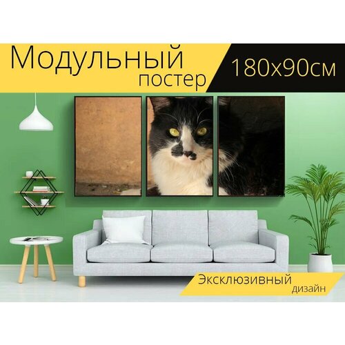 Модульный постер "Кот, кошачий, черное и белое" 180 x 90 см. для интерьера