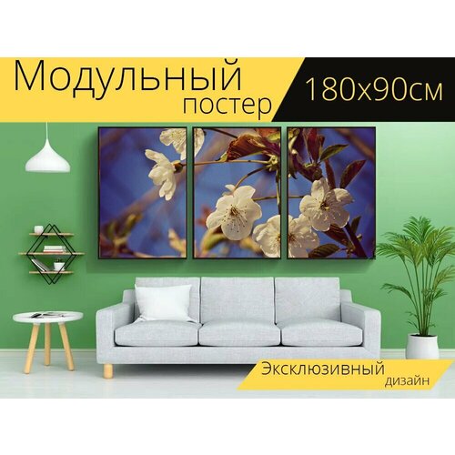 Модульный постер "Вишневый цветок, цвести, дерево" 180 x 90 см. для интерьера