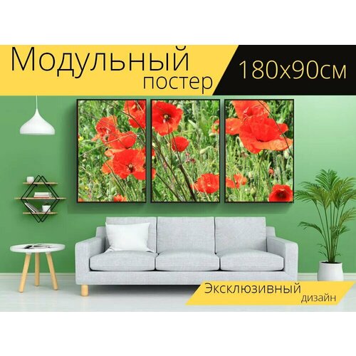 Модульный постер "Маки, цветы, мак" 180 x 90 см. для интерьера