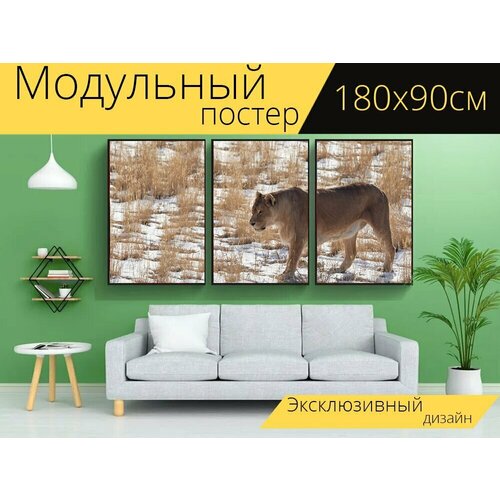 Модульный постер "Лев, львица, кошка" 180 x 90 см. для интерьера