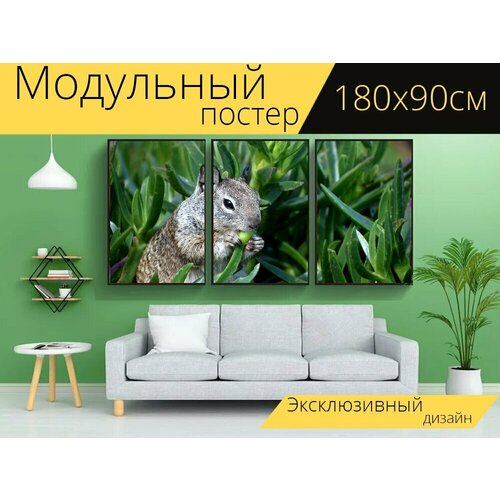 Модульный постер "Калифорнийский суслик, дикая природа, калифорния" 180 x 90 см. для интерьера