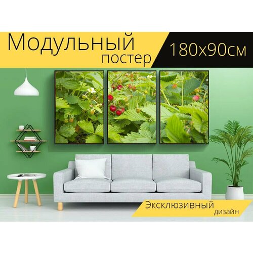 Модульный постер "Клубника, фрукты, клубничный" 180 x 90 см. для интерьера