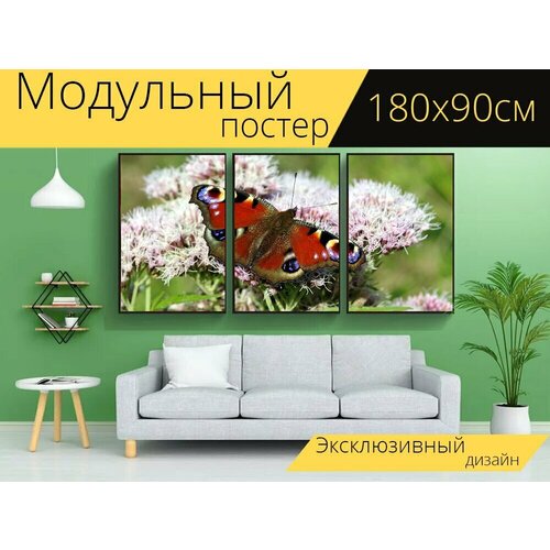 Модульный постер "Фея павлин, бабочка, красный" 180 x 90 см. для интерьера
