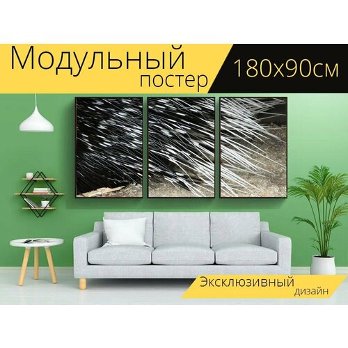 Модульный постер "Иглы дикобраза, дикобраз, грызуны" 180 x 90 см. для интерьера