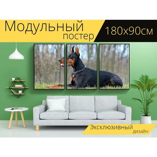 Модульный постер "Врущий, доберман, собака" 180 x 90 см. для интерьера