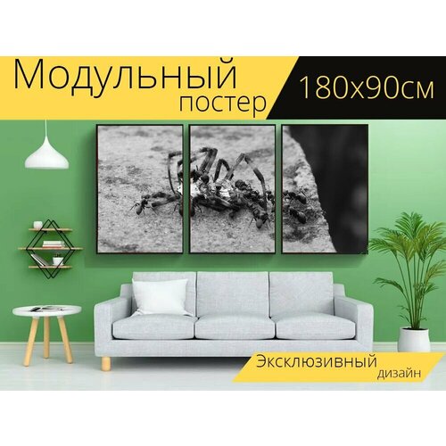 Модульный постер "Насекомые, макро паук, муравьи" 180 x 90 см. для интерьера