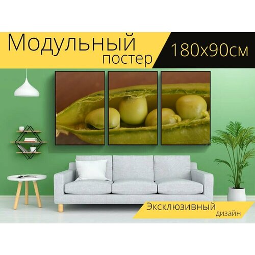 Модульный постер "Горох, стручок гороха, свежий" 180 x 90 см. для интерьера