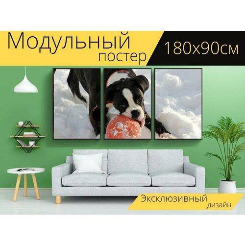 Модульный постер "Собака, боксер, домашнее животное" 180 x 90 см. для интерьера