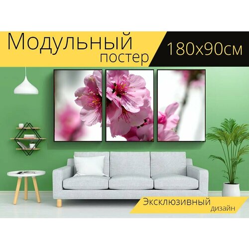 Модульный постер "Миндальное дерево, цветок миндаля, весна" 180 x 90 см. для интерьера