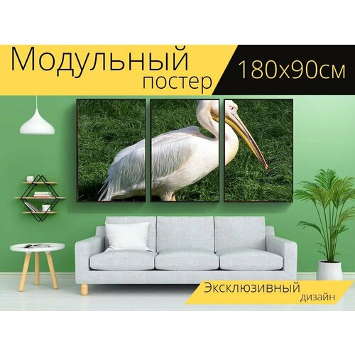 Модульный постер "Пеликан, птица, перья" 180 x 90 см. для интерьера