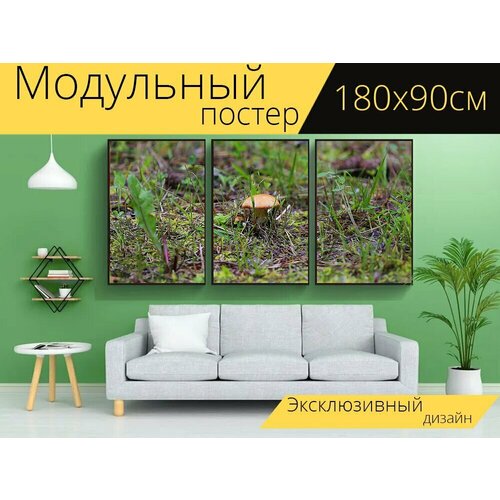 Модульный постер "Гриб, масленок, лес" 180 x 90 см. для интерьера