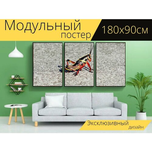Модульный постер "Крикет, насекомое, кузнечик" 180 x 90 см. для интерьера
