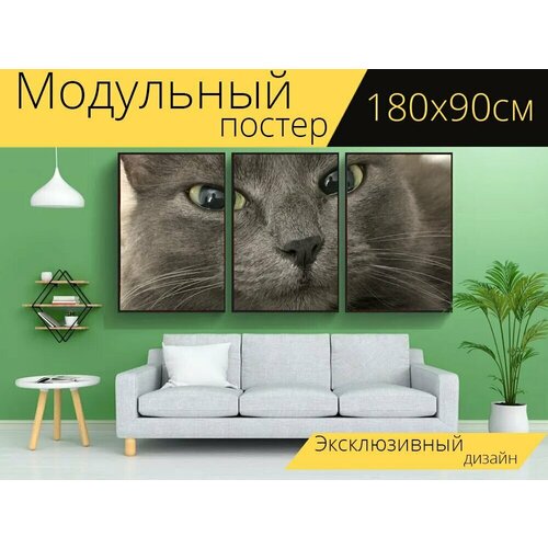 Модульный постер "Кошка, серый, кошачий" 180 x 90 см. для интерьера