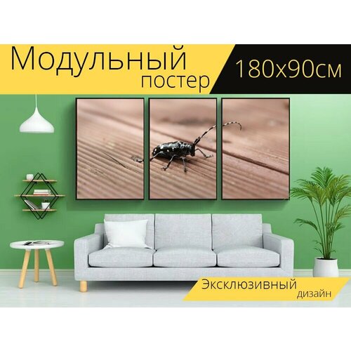 Модульный постер "Скарабей, жуколень, жук" 180 x 90 см. для интерьера