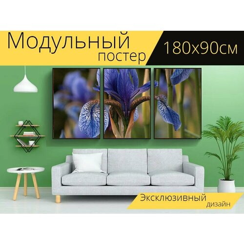 Модульный постер "Ирис, цветок, синий" 180 x 90 см. для интерьера