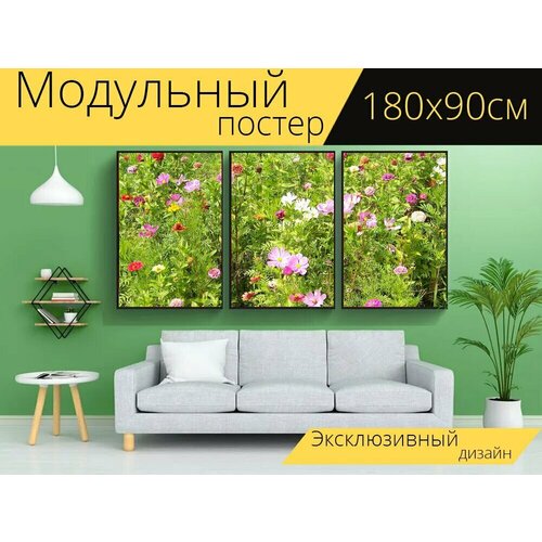 Модульный постер "Цветы, полевые цветы, цветочный" 180 x 90 см. для интерьера