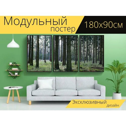 Модульный постер "Лес, хвойный лес, деревья" 180 x 90 см. для интерьера
