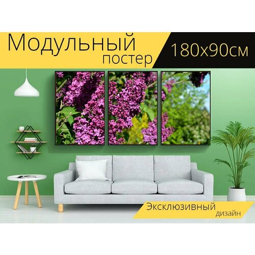 Модульный постер "Сирень, фиолетовый сирень, цветение сирени" 180 x 90 см. для интерьера