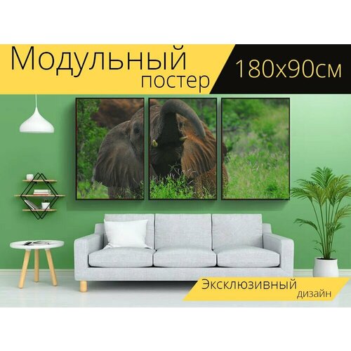 Модульный постер "Слон, цаво, кения" 180 x 90 см. для интерьера