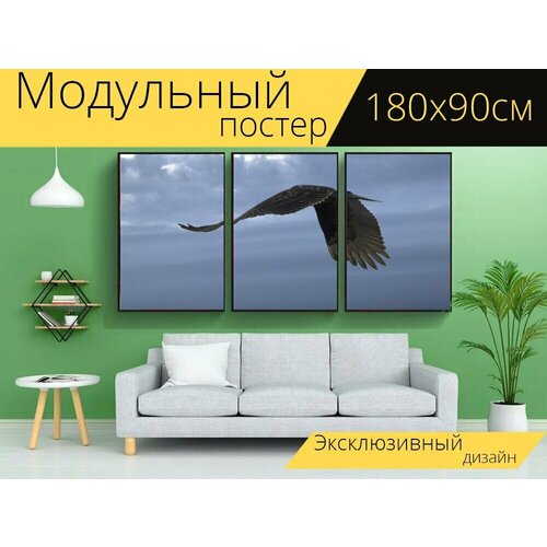 Модульный постер "Птица, стервятник, канюк" 180 x 90 см. для интерьера