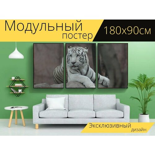 Модульный постер "Животные, кошачий, животное" 180 x 90 см. для интерьера