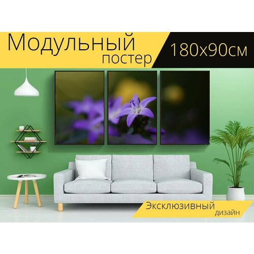 Модульный постер "Цвести, цветок, фиолетовый" 180 x 90 см. для интерьера