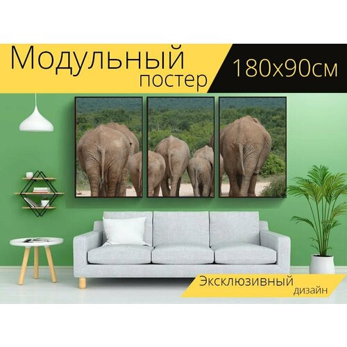 Модульный постер "Слоны, стадо слонов, стадо" 180 x 90 см. для интерьера