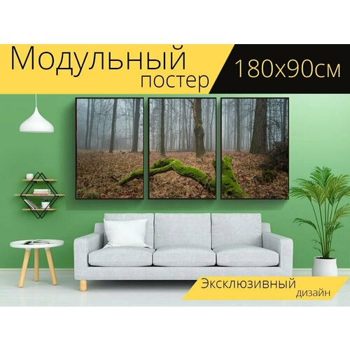 Модульный постер "Лес, мох, природа" 180 x 90 см. для интерьера