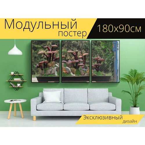 Модульный постер "Пейзаж рейши, ганодерма лусидум земля пейзаж, миниатюры ганодерма" 180 x 90 см. для интерьера