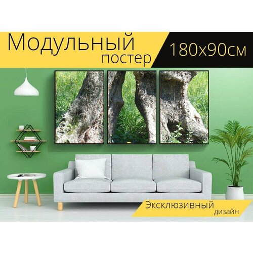Модульный постер "Оливковое дерево, корень оливкового, дерево" 180 x 90 см. для интерьера