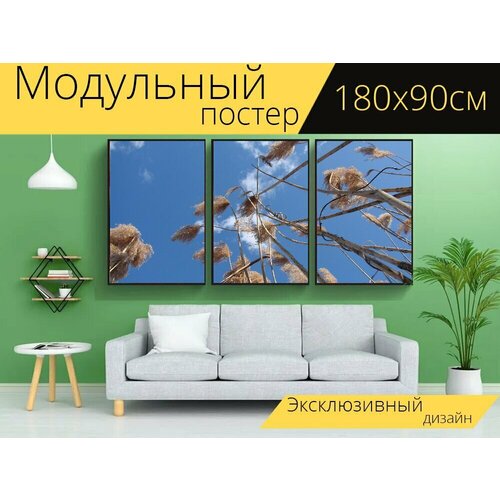 Модульный постер "Трава, высокий, небо" 180 x 90 см. для интерьера