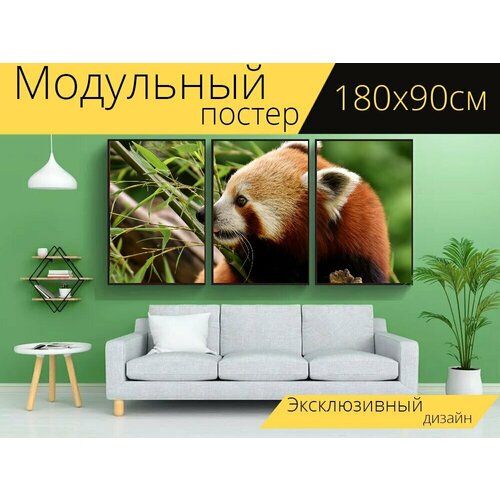Модульный постер "Маленькая панда, красная панда, кошкамедведь" 180 x 90 см. для интерьера