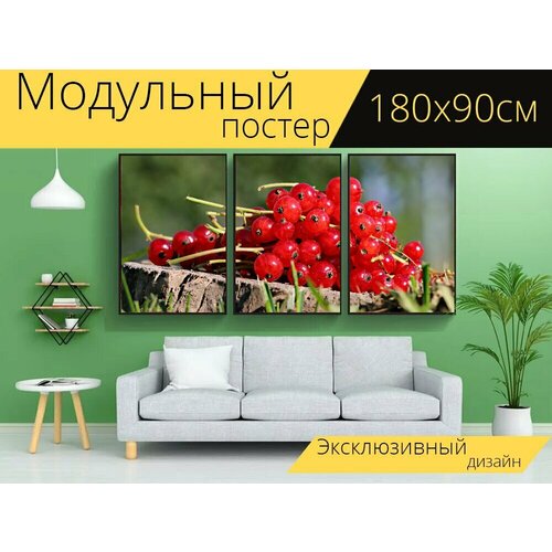 Модульный постер "Смородина, красная, ягоды" 180 x 90 см. для интерьера