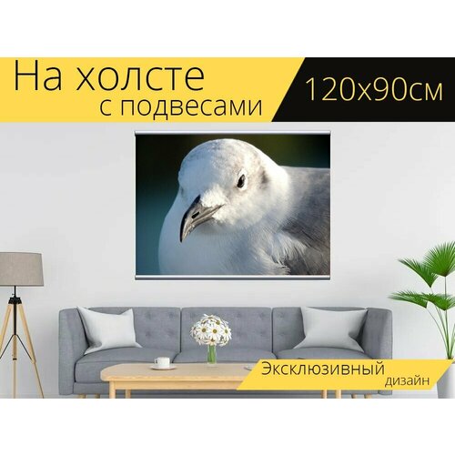 Картина на холсте "Чайка, птица, дикая природа" с подвесами 120х90 см. для интерьера