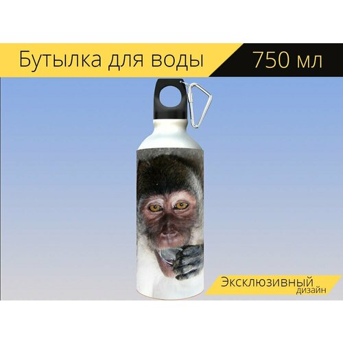 Бутылка фляга для воды "Бали, обезьяна, эмоция" 750 мл. с карабином и принтом