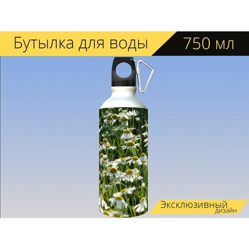 Бутылка фляга для воды "Настоящая ромашка, ромашка ромашка, ромашка" 750 мл. с карабином и принтом