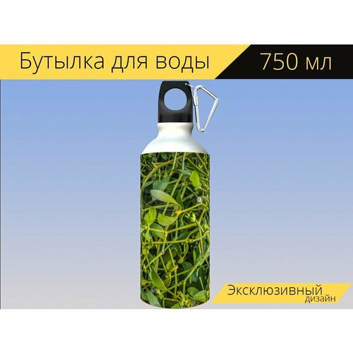 Бутылка фляга для воды "Омела, растения, зеленый" 750 мл. с карабином и принтом