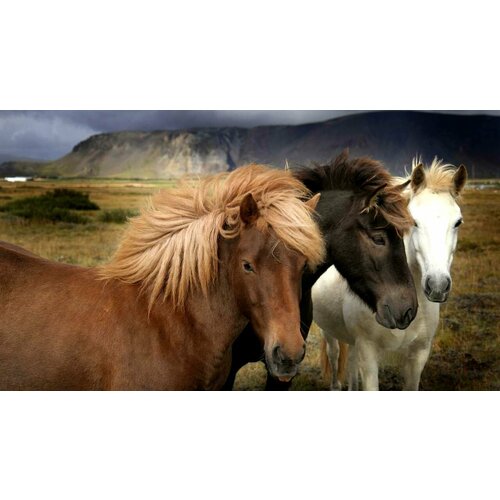 Картина на холсте 60x110 LinxOne "Великолепные кони" интерьерная для дома / на стену / на кухню / с подрамником