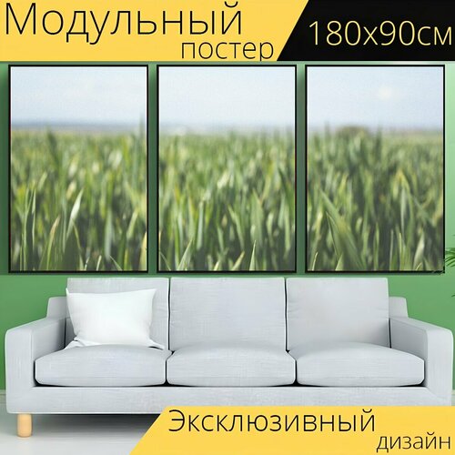 Модульный постер "Ферма, поля, посевы" 180 x 90 см. для интерьера