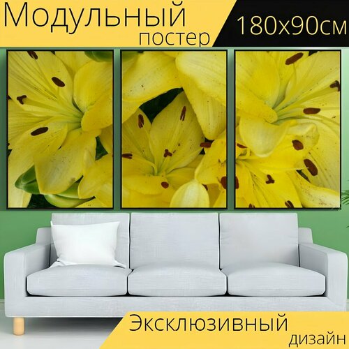 Модульный постер "Желтый, симфония, цвести" 180 x 90 см. для интерьера