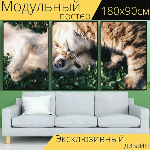 Модульный постер "Друзья, кошка и собака, домашние питомцы" 180 x 90 см. для интерьера