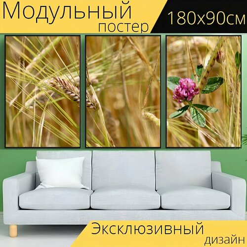 Модульный постер "Пшеница, кукурузное поле, клевер" 180 x 90 см. для интерьера