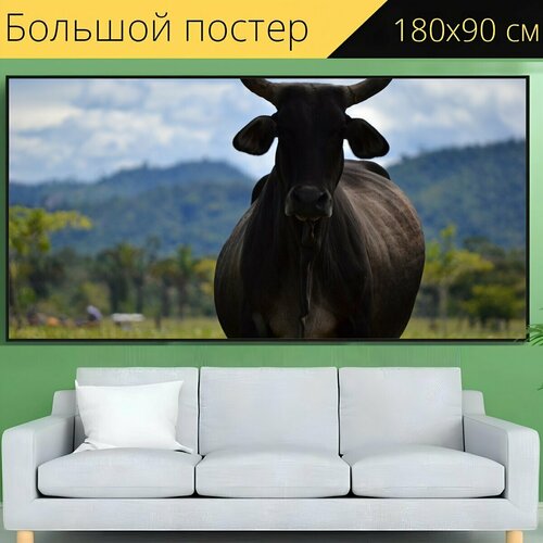 Большой постер "Корова, домашний скот, крупный рогатый скот" 180 x 90 см. для интерьера